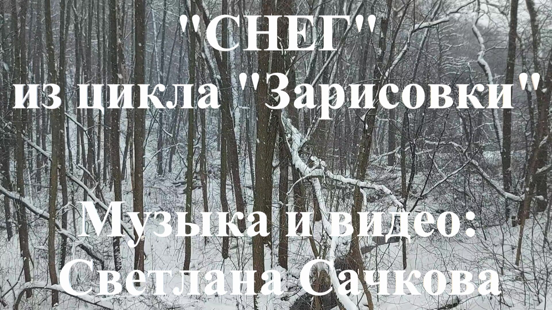 "Снег" из цикла "Зарисовки" Светлана Сачкова
