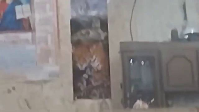 Супер Смэш Брос серия 198 День Влюбленных