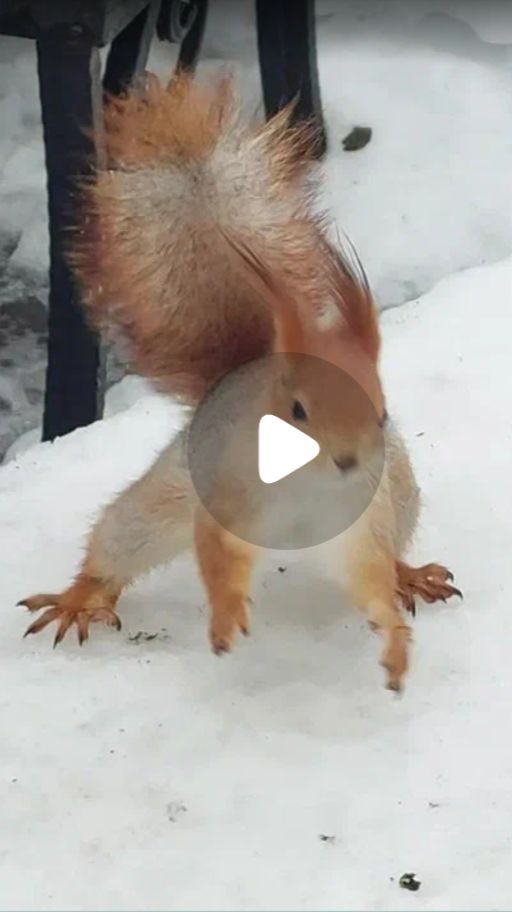 А вы знали про миндаль?