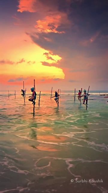 Традиционная древняя техника рыболовства, которая до сих пор используется на южном побережье Шри-Лан