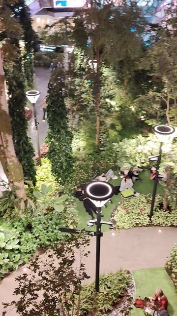 аэропорт в Бразилии