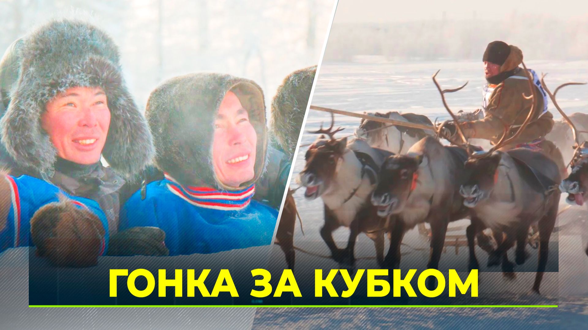 Тундровый экзамен: юбилейные соревнования оленеводов в Надыме