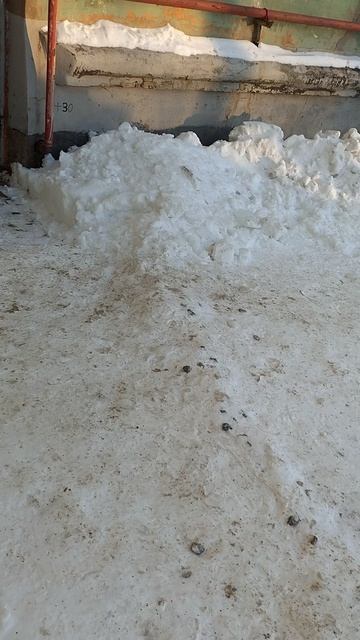 №1311 Двор П. Осипенко 48. 16 января 2026 г., 15:51:19 VID_20260116_155053945