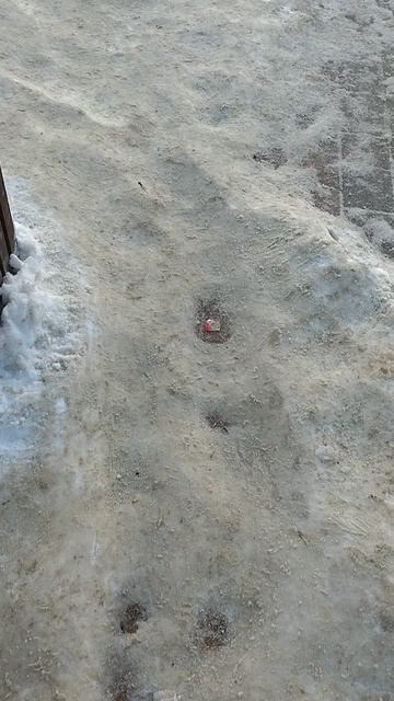 №1307 ул. Сибирская. 16 января 2026 г., 12:59:54 VID_20260116_125901477