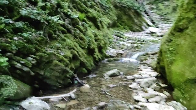 Продолжение похода в Крабовое ущелье Лазаревское - Поехали на юг Серия 4