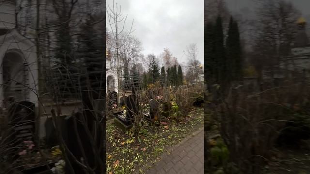 У Ксении Петербуржской Смоленское кладбище