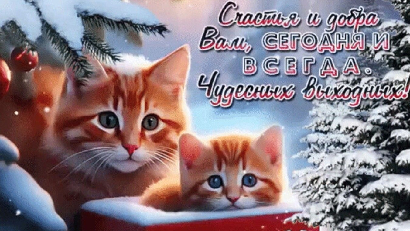 Февральское субботнее утро! Роскошная музыкальная открытка с песней.