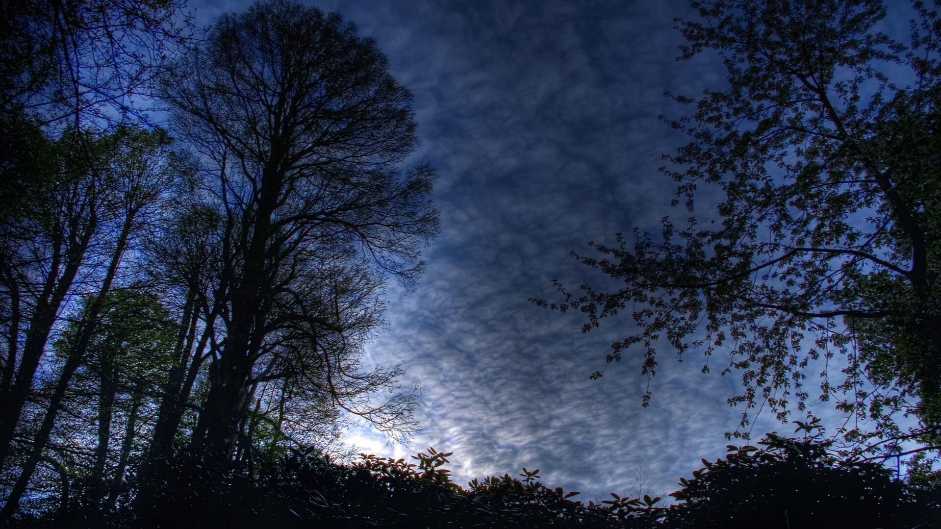 cemetary-rosemary-taste-the-sky cut