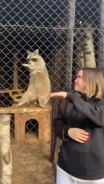 Hip-Hop это  душа😄😄😁