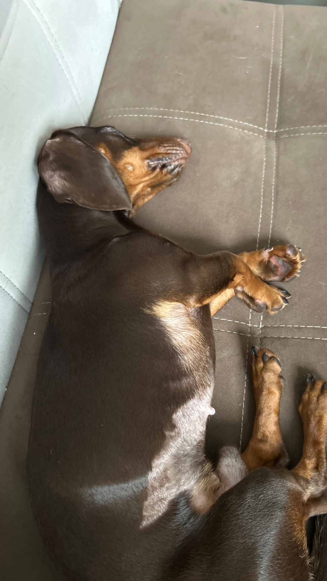 Ну что ты пристал