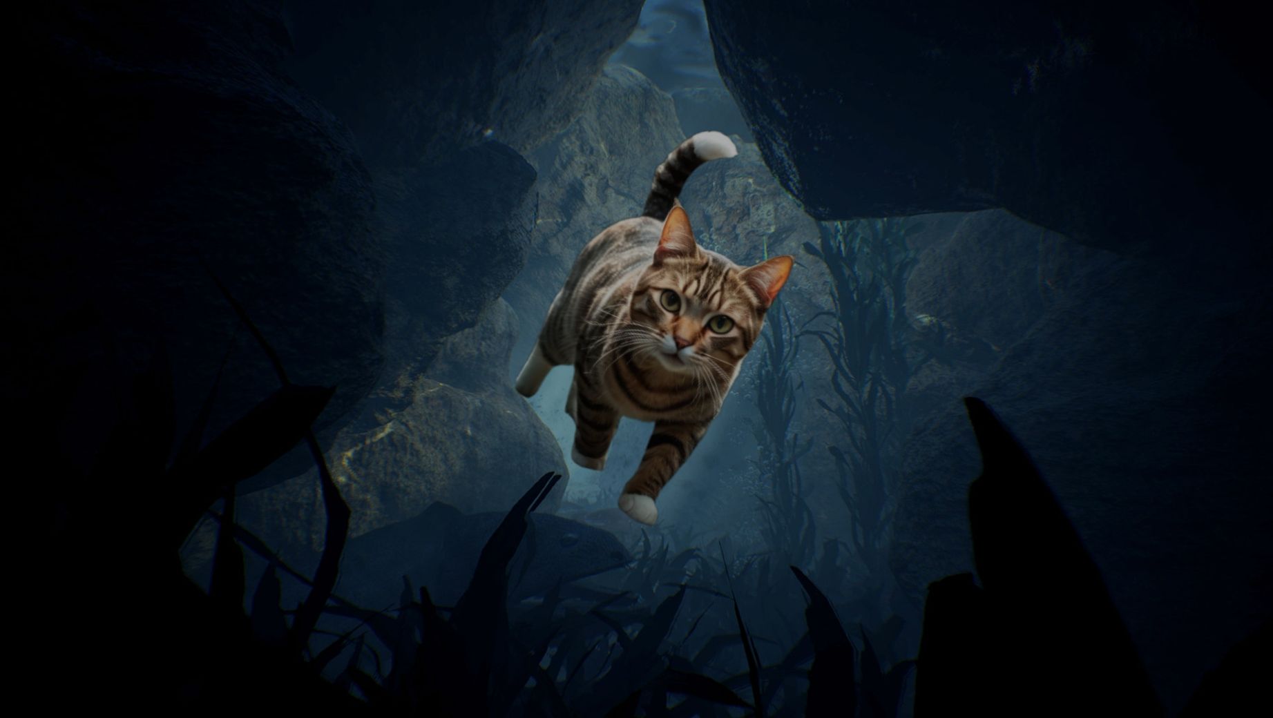 Иду на дно. 👑 The Fisher Cat. #4