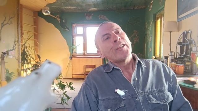 Отдаться богу. Уродец. ЗГВ-2