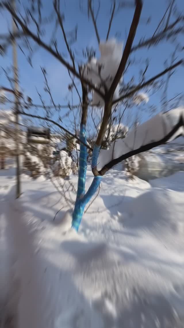 Зимний солнечный денек