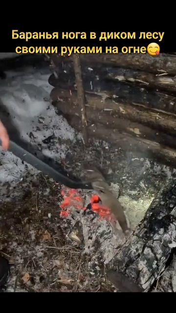 #выживание_в_лесу#экономия_времени#полезный_совет#DIY#умные_решения