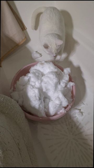 Милка знакомится со снегом