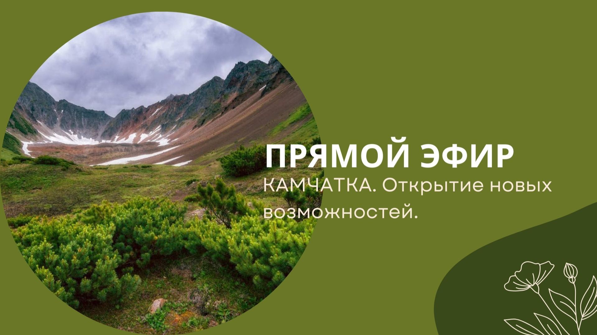 Камчатка обзор программы