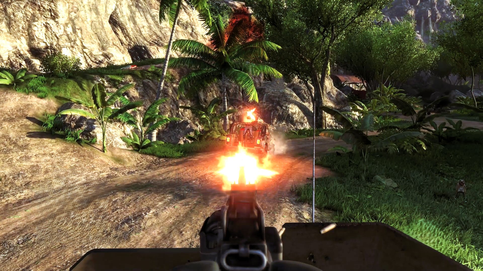 Чудеса спавна ~ Far Cry 3 #9