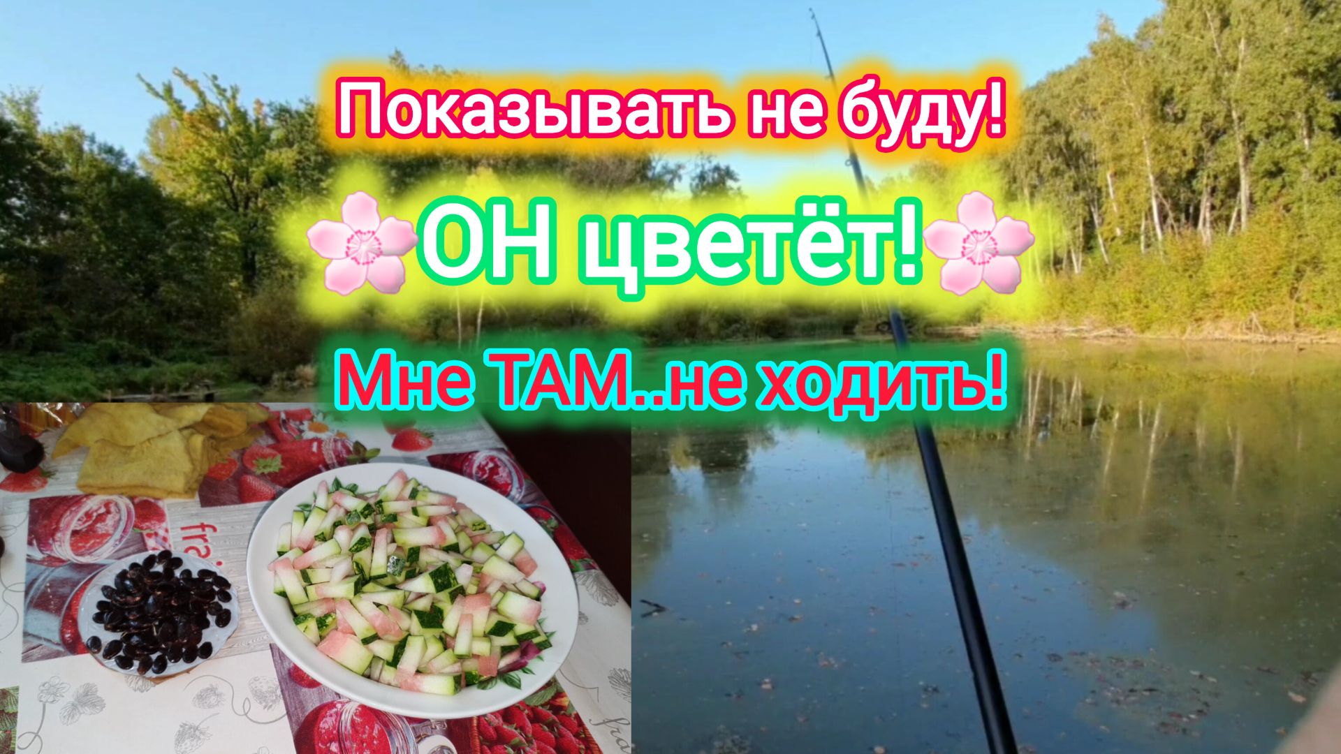 9.09.2024 ОНИ ВСЕЯДНЫЕ!😳ПРОБУЮ АРБУЗ!🍉ЧТО КЛЮЁТ У ПАПЫ НА ПРУДУ И НА ЧТО КЛЮЁТ!_🤭
