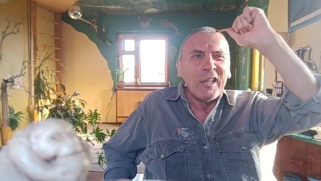 ХодЗуми. ЗГВ 3