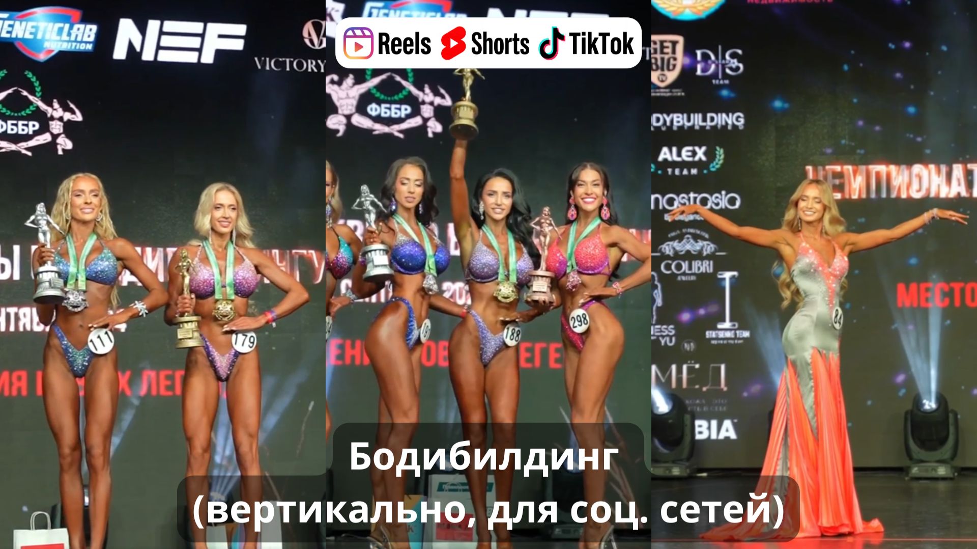 Бодибилдинг (вертикальное)