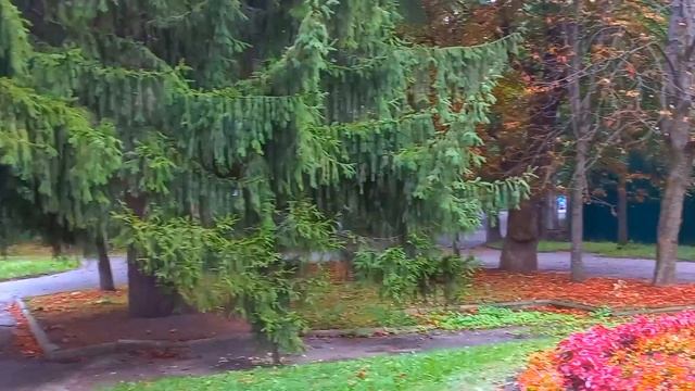 Ессентуки Курортный парк 2021