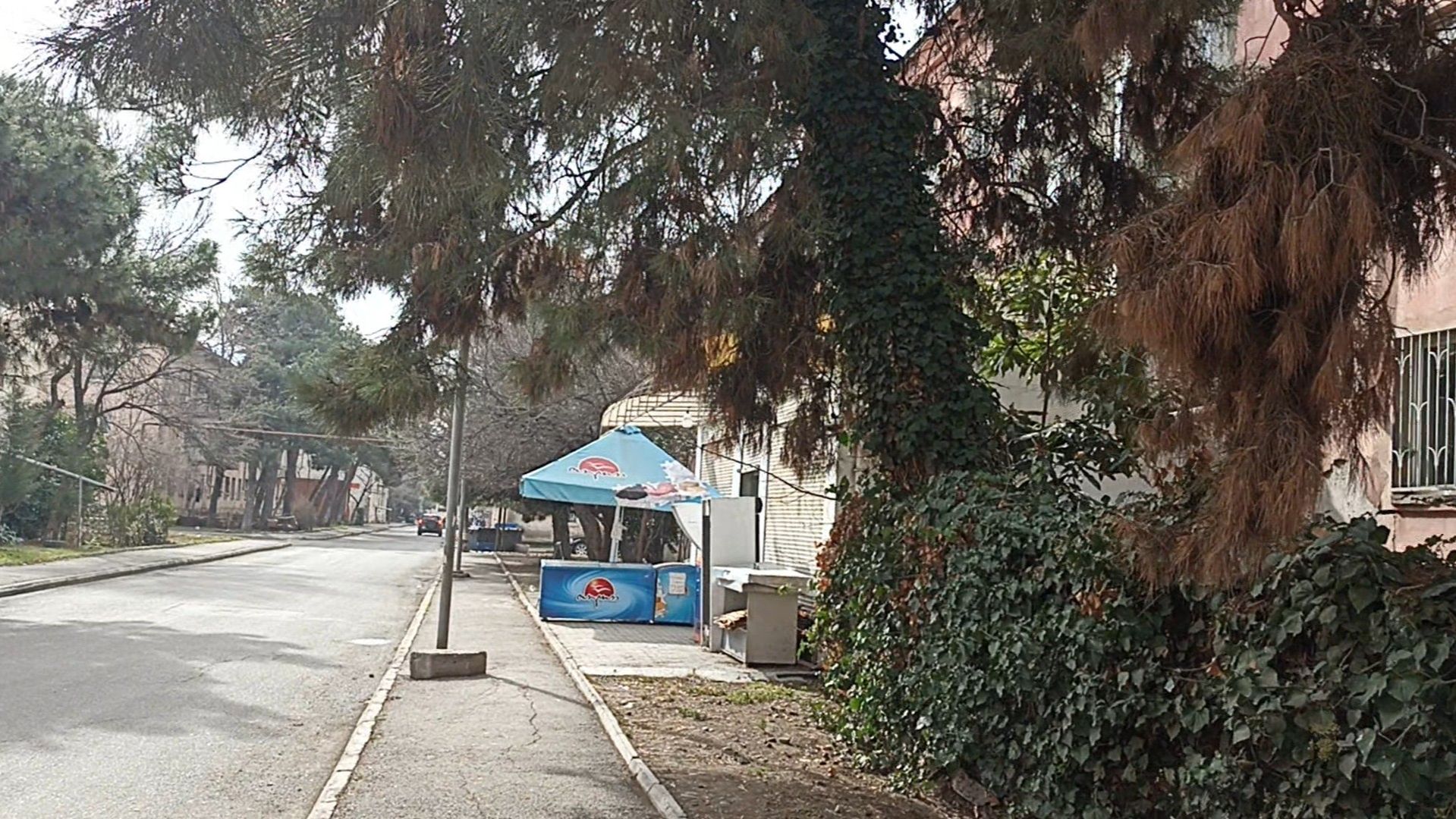 Прогулка по Рустави 13.02.2026 (улица Маяковского, дом 16 в Рустави)