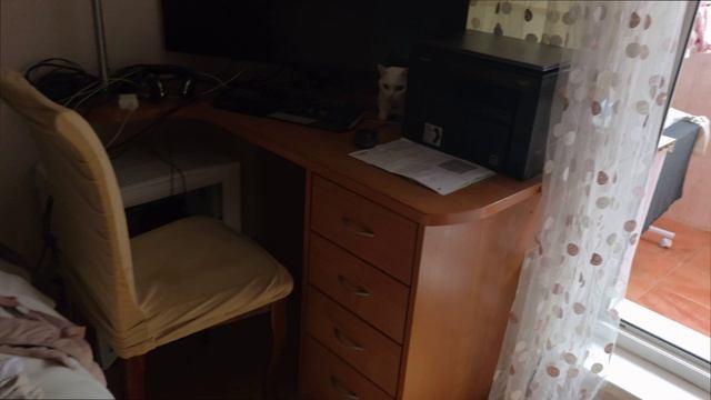 Милка вышла из своего уголка поиграть