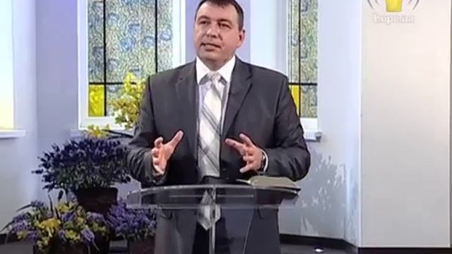 Что вы тут делаете -  Владимир Боровый