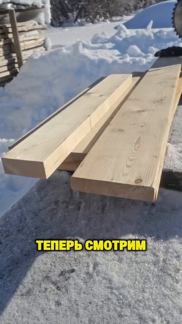 Лиственница vs Сосна