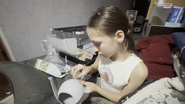 Знакомьтесь, новый питомец. Собираем дом