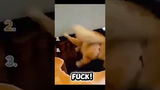 Прикол😃😃😃Ржака