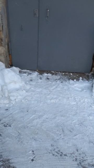 №1300 Двор П. Осипенко 48. 12 января 2026 г., 16:18:13 VID_20260112_161759025