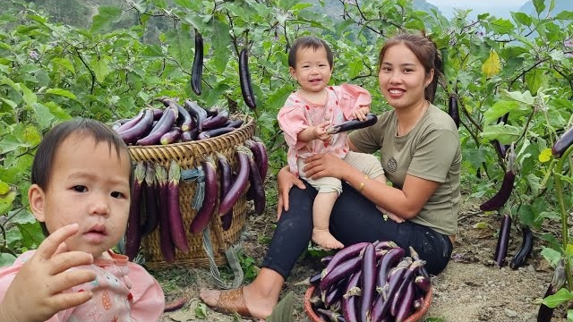Мама поневоле. Дуонг. Готовим сушеную маниоку, собираем баклажаны для продажи на рынке. Серия 50