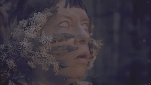 HDR Heart of the Forest - Official Launch Trailer 4K