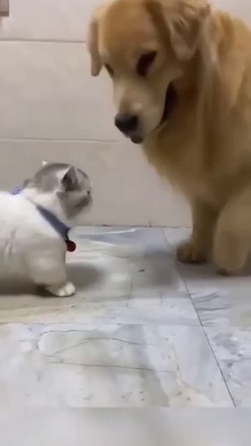 Размер не имеет значения😆😆😆