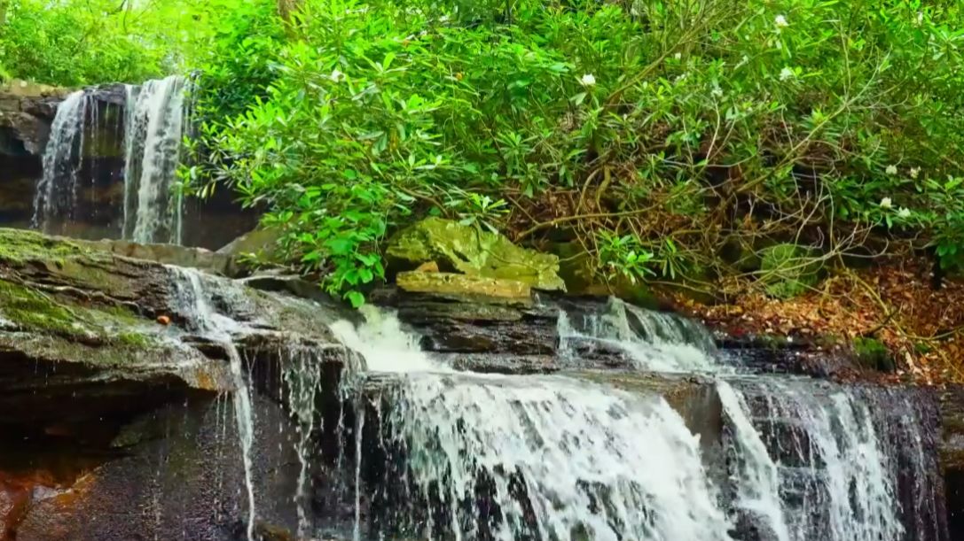 Тихая музыка успокаивающая нервную систему