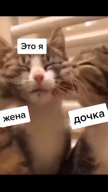 день зарплаты