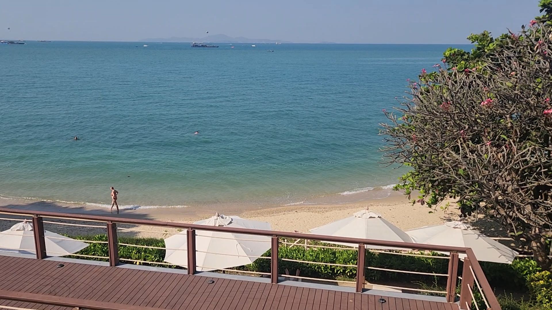 Бодрящее утро с цаплей отеля Dusit Thani Паттайя 🛌 ⛱️🌴