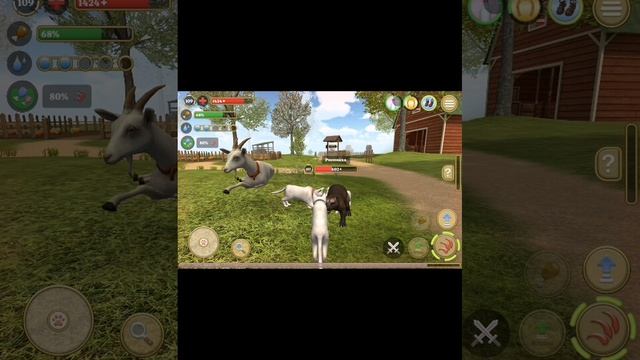 Играю в симулятор кошки за Бурмиллу