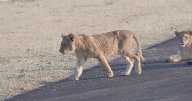 МУЗЫКА ДЛЯ СНА: РАССЛАБЛЕНИЕ И ПОКОЙ
