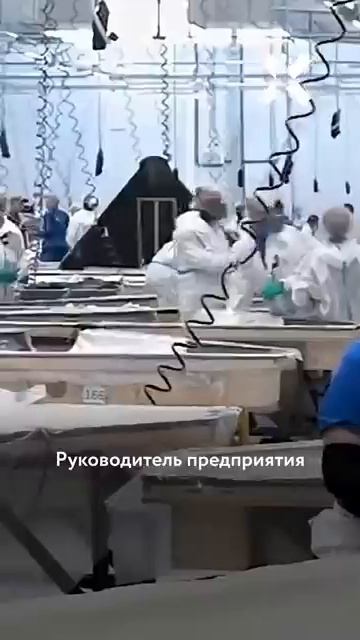 Кадры с завода, где школьники собирают дроны, которыми Россия атакует Украину