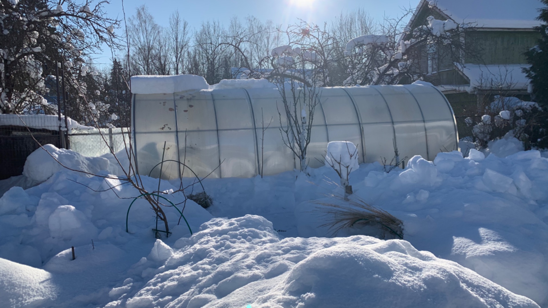 Дача 11 февраля . Счищаю снег с парника.