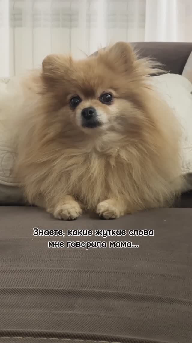 Жуткие слова от мамы!