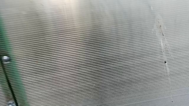 Всходы на 13 июня