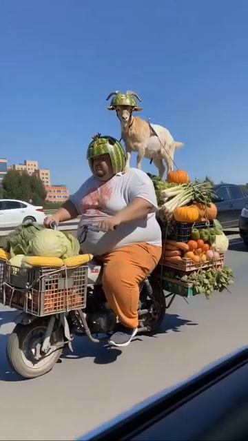 Едем с рынка.