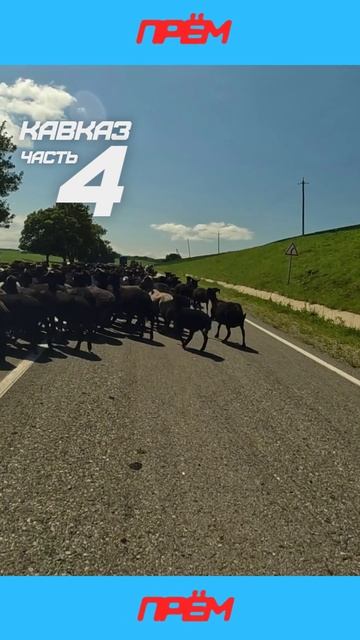 БАРАШКИ МАШИН НЕ БОЯТСЯ | ПРЁМ