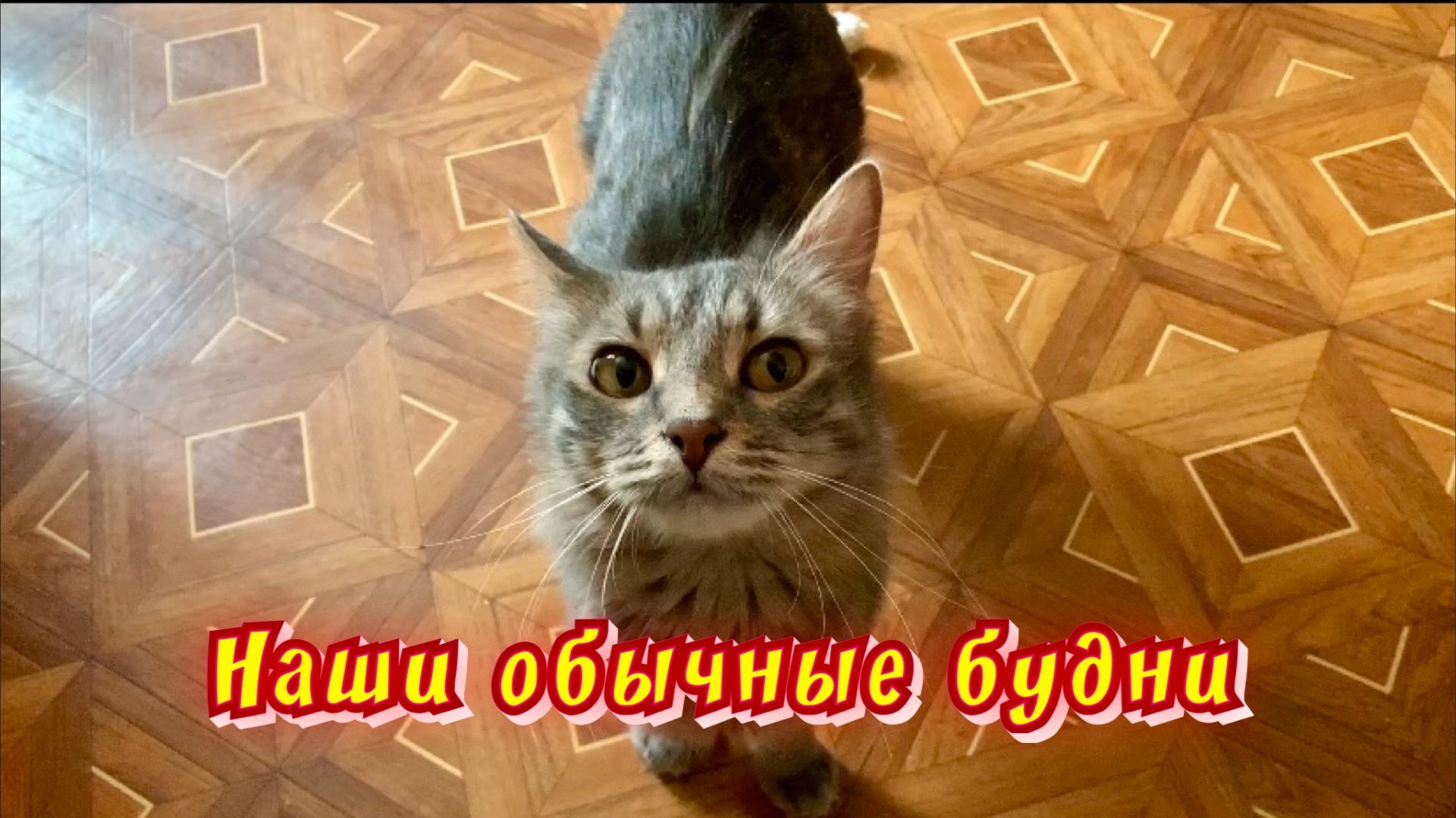 Наши обычные будни / 15.02.2026