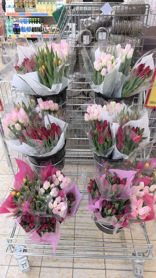 Тюльпаны, цены в России #цены #цветы #тюльпаны #весенниецветы #какаякрасота #скоровесна #ценынацветы