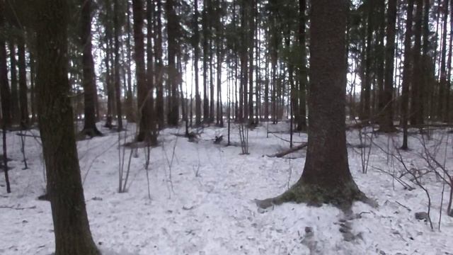 Лайки нашли и работают