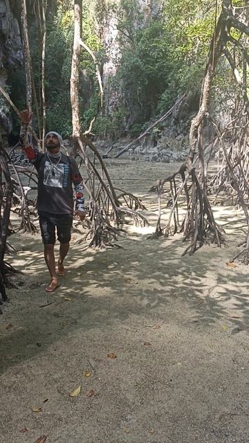 Гид Эльдар рассказывает о мангровых деревьях на экускурсии Звездные острова в Тайланде